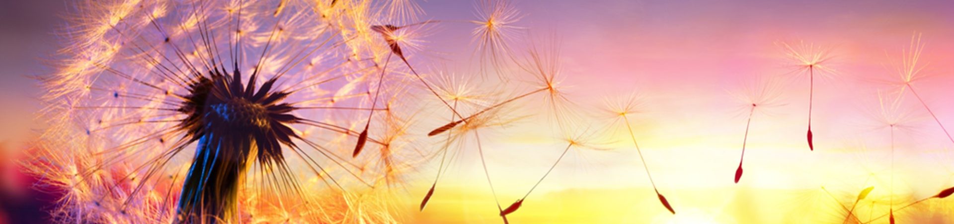 How to Care for Your Property - a Seasonal Guide | Move iQ