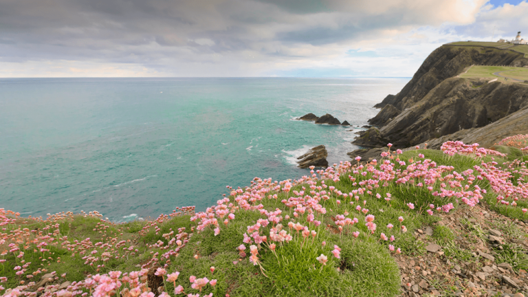Moving to the Shetland Islands | Area Guide | Move iQ