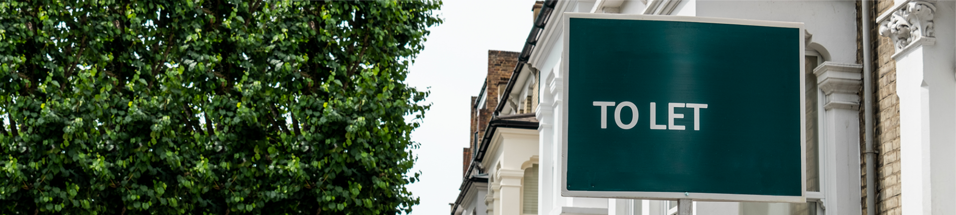 Renting Advice | Tips & Guides | Phil Spencer | Move iQ