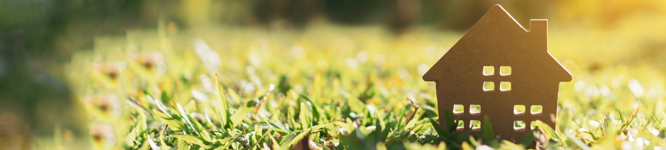 Buying Advice | From Phil Spencer | Move iQ