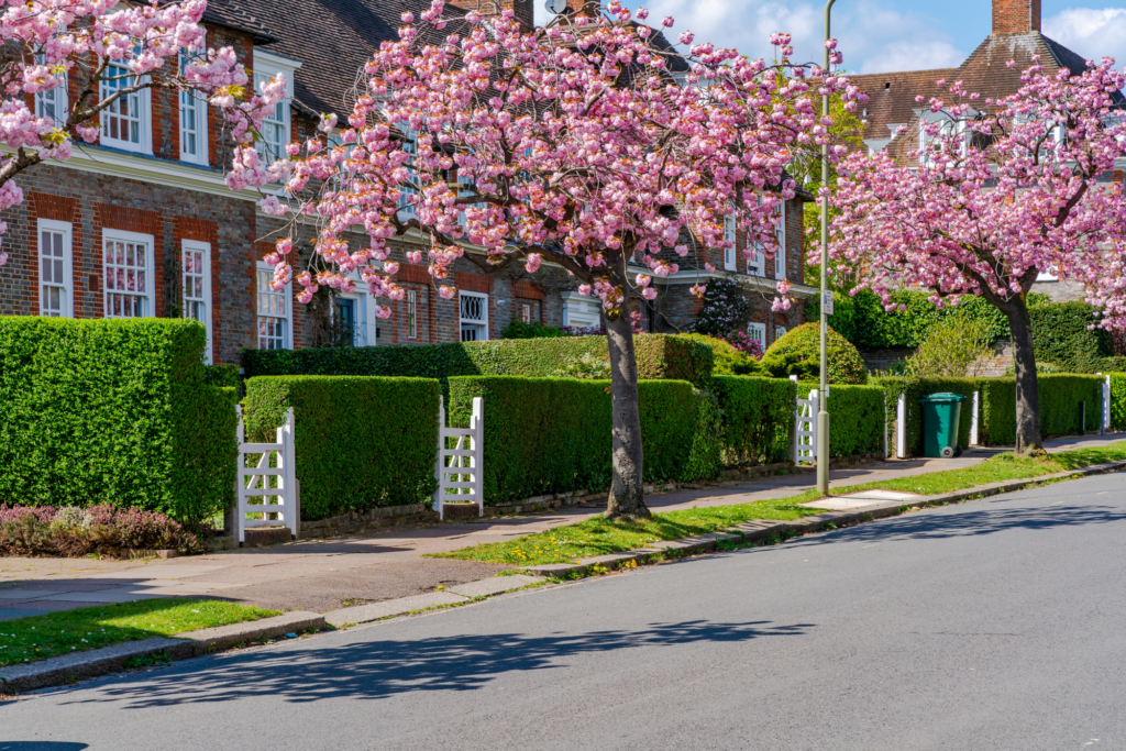 Housing Market Overview: Spring 2025 Insights | Move iQ